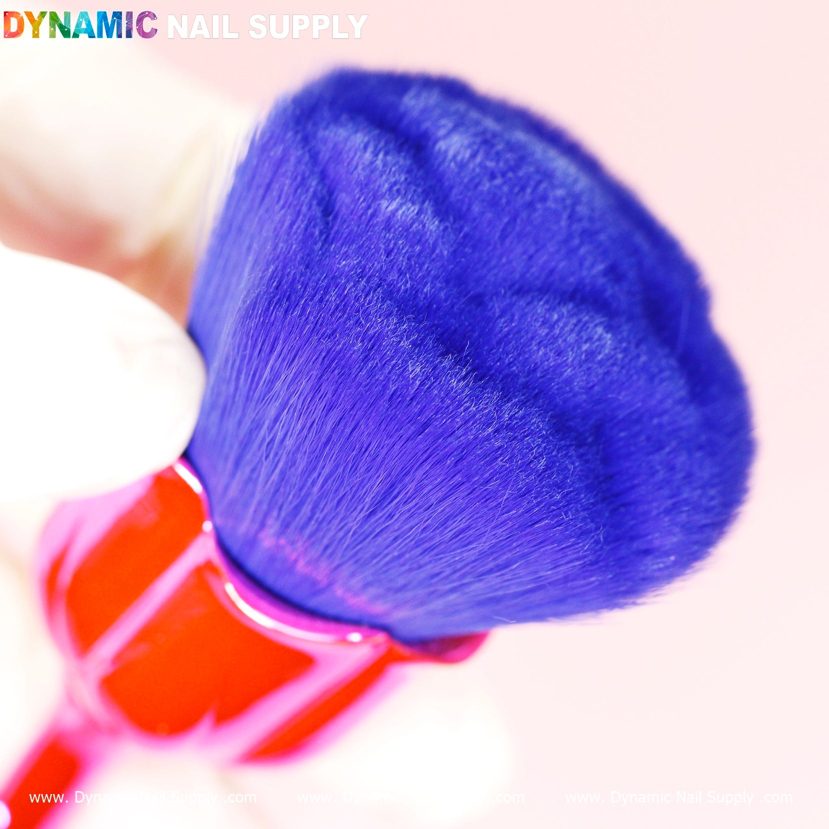 Dust Brush (Cosmetic-grade Duster) - Royal Blue Rose style – Dynamic ...